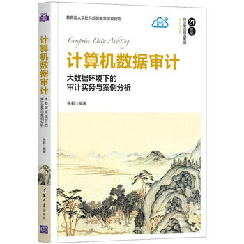 计算机数据审计【保证正版】