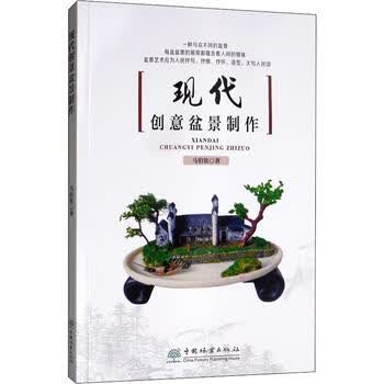 现代创意盆景制作