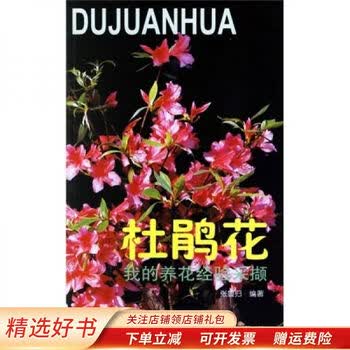 杜鹃花 张鲁归
