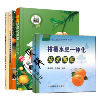全4册 柑橘种植技术大全书籍 柑橘轻简化栽培实用技术+柑橘高产栽培与病虫害防治+水肥一体化+整形
