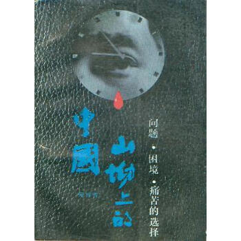 山坳上的中国 何博传 著【正版书】
