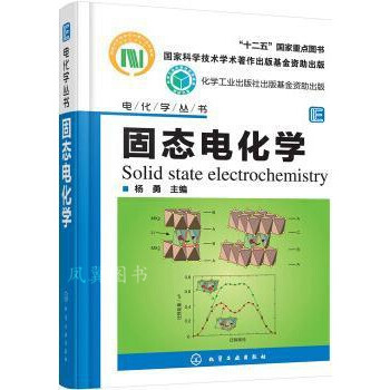 电化学丛书--固态电化学 杨勇编 化学工业出版社