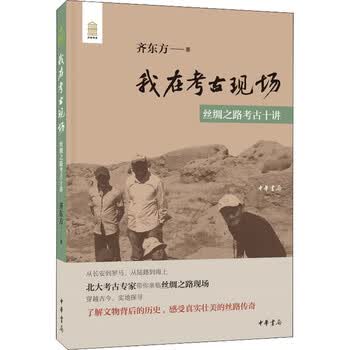 我在考古现场--丝绸之路考古十讲 齐东方  书籍