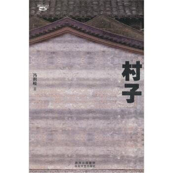村子 冯积岐 著
