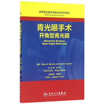 青光眼手术(开角型青光眼)/世界青光眼学会联合会共识系列