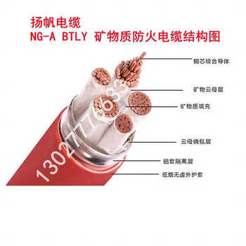 NG-A/BTTZ/BTLY矿物质绝缘电缆消防3/4+1芯4 10 16 25 35 5*6平方 矿物质防火电缆NG-A4*25+1*【图片 价格 品牌 报价】-京东