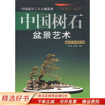 中国盆景艺术大观系列：中国树石盆景艺术 林鸿鑫
