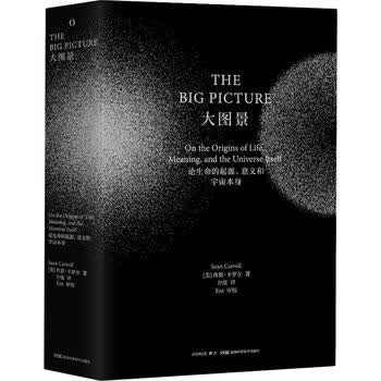 大图景 论生*起源、意义和宇宙本身