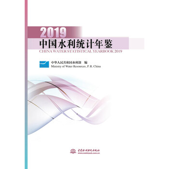 中国水利统计年鉴2019 经济 书籍