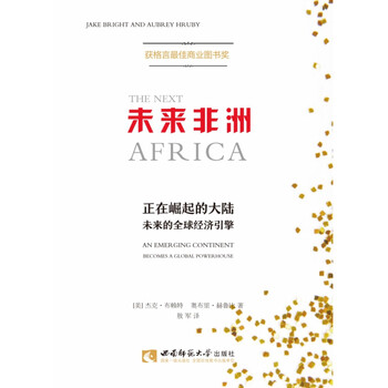 未来非洲(正在崛起的大陆未来的 经济引擎)