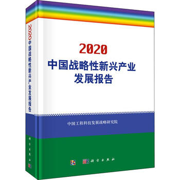 中国战略性新兴产业发展报告 2020