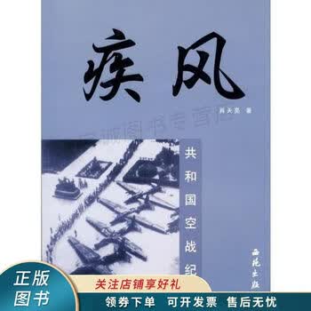 疾风－共和国空战纪实 肖天亮