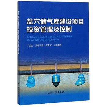 盐穴储气库建设项目投资管理及控制