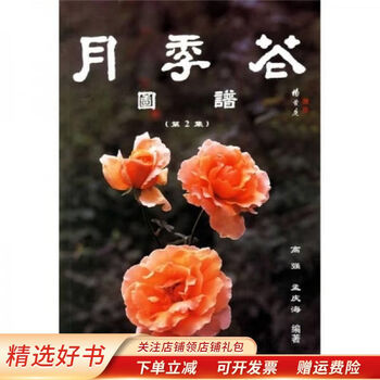 月季花图谱第2集 高强