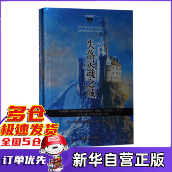 失落灵魂之城(精)/圣杯神器系列