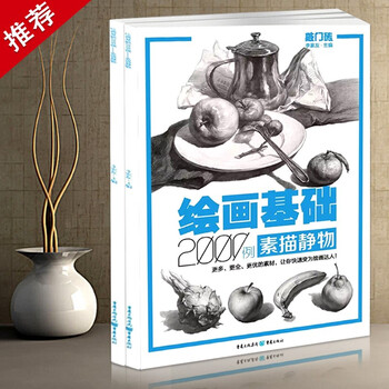 【】敲门砖系列绘画基础素描静物2000例 李家友编静物单体组合素材