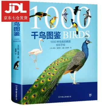 千鸟图鉴 萨拉·霍格特著,雷倩萍 译 9787505747869