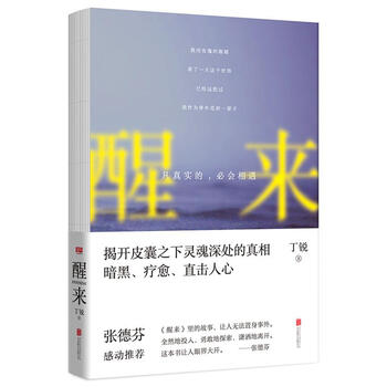 醒来:凡真实的，必会相遇 丁锐【正版书】
