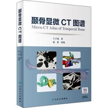 颞骨显微CT图谱