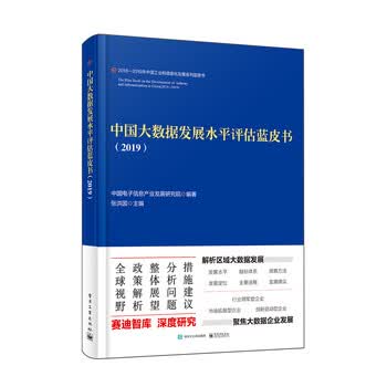 中国大数据发展水平评估蓝皮书（2019）