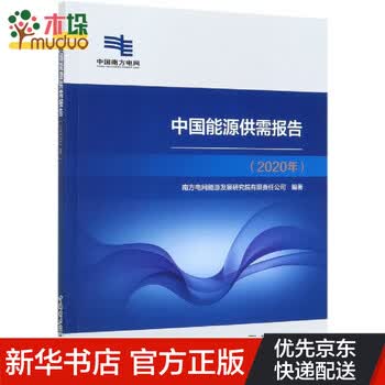 中国能源供需报告(2020年)