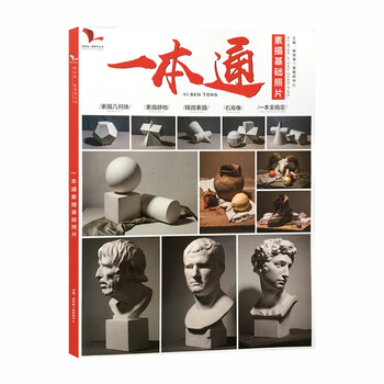 正版一本通素描基础照片 2021青美文化我有我一套 单体组合几何体静物石膏头像石膏像照片写生临摹范本