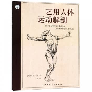 艺用人体运动解剖/西方经典美术技法译丛