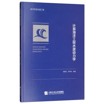 计算海洋工程水波动力学