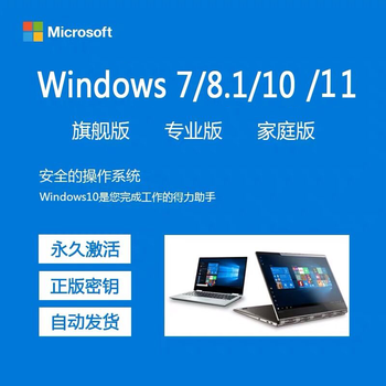 win10专业版激活码windows10教育版企业版密钥win11家庭中文正版 WIN10家庭升专业版 - - - 京东JD.COM