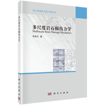 多尺度岩石损伤力学 朱其志 科学出版社