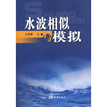 水波相似模拟 左其华 主编【正版书】