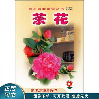 茶花 游慕贤