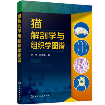 猫解剖学与组织学图谱 猫的消化循环泌尿神经内分泌免疫和生殖形态功能及组织结构图谱 兽医书籍 动物医学