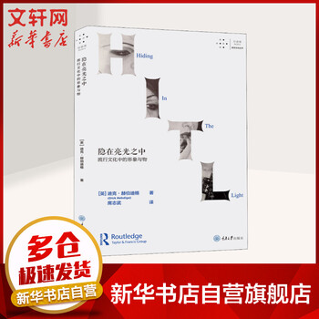 隐在亮光之中 流行文化中的形象与物