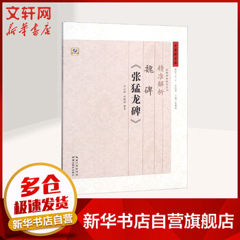 精准解析魏碑《张猛龙碑》