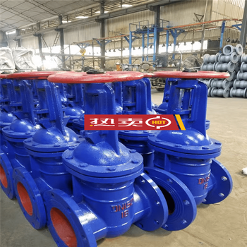 SMVP闸阀 明杆铜芯铜杆 大体铸铁工业防护阀门防爆Z44T-10/16 Z41T-16 明杆重型铜杆铜芯DN200【图片 价格 品牌 报价】-京东