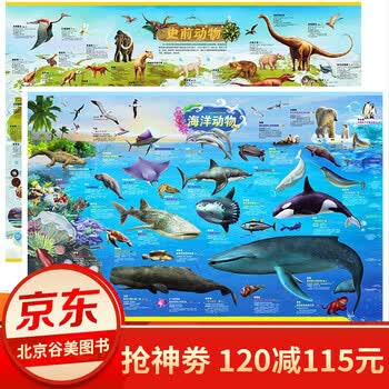 全套10册中国地图和世界地图挂图2021儿童版学生专用中国地形图 挂图中华民族地图+太阳系地图+北极 海洋动物+史前动物地图【2张】 默认