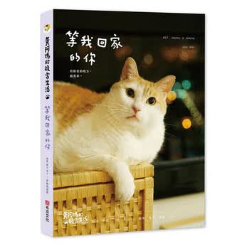 【中图台版】黄阿玛的后宫生活：等我回家的你 志铭与狸猫 布克文化 港台原版