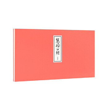 《万物心经》薛继业写画《心经》读库出品