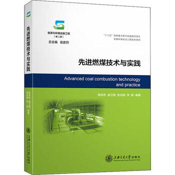 先进燃煤技术与实践