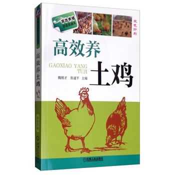 高效养土鸡（双色印刷）