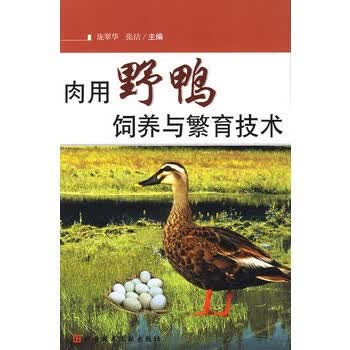 肉用野鸭饲养与繁育技术 庞翠华 等 科技文献出版社【正版图书】