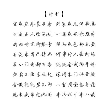 2022年公务员申论范文考试字帖国考公考行书楷书临摹钢笔练字帖 行书套餐一：具体见详情页