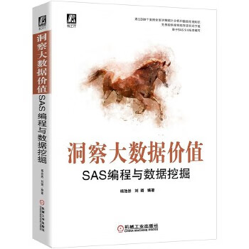 洞察大数据价值-SAS编程与数据挖掘