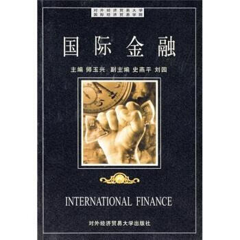 国际金融 师玉兴 编【正版书】