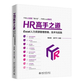 HR高手之道-Excel人力资源管理思维.技术与实践
