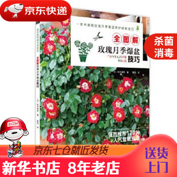 【新华书店 正版书籍】全图解玫瑰月季爆盆技巧铃木满男湖北科学技术出版社 正版图书绘本