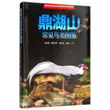 鼎湖山常见鸟类图鉴
