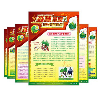 2022年防灾减灾周主题 减轻灾害风险 守护美好家园  2022年安全生产月咨询日活动宣传品 ZAG0096森林草原防火安全要点宣教挂图 6张