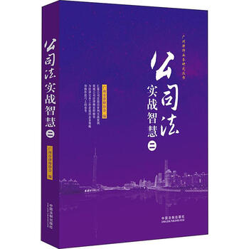 公司法实战智慧 2